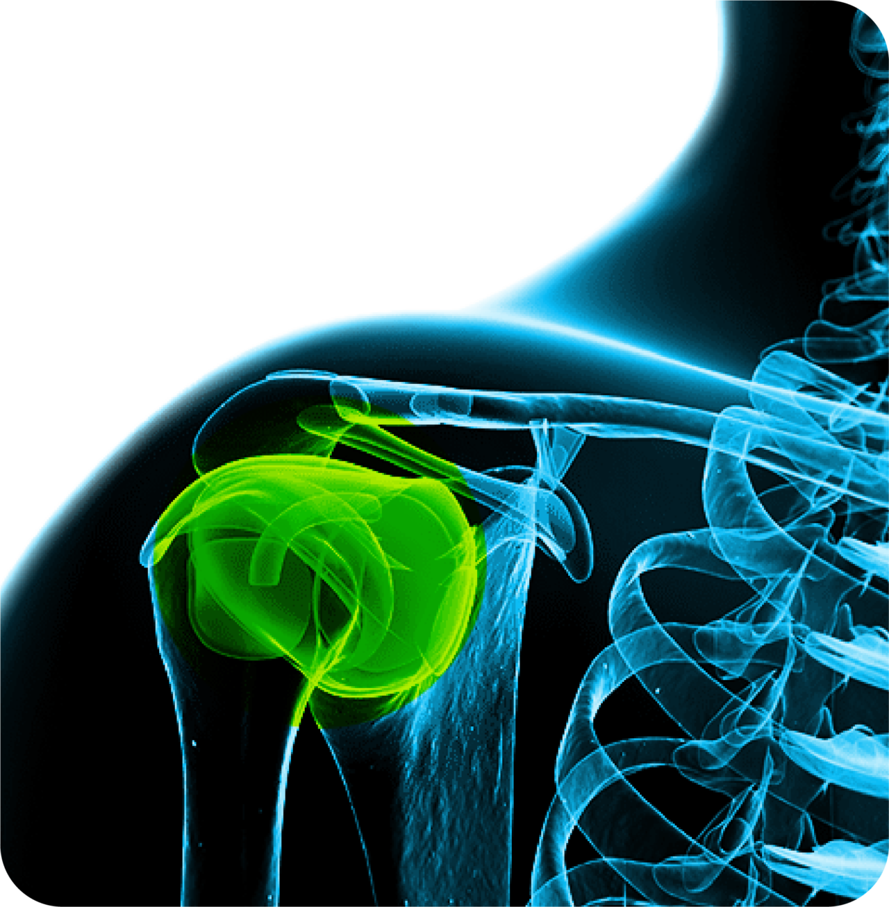 Manguito Rotador - Instituto de Hombro